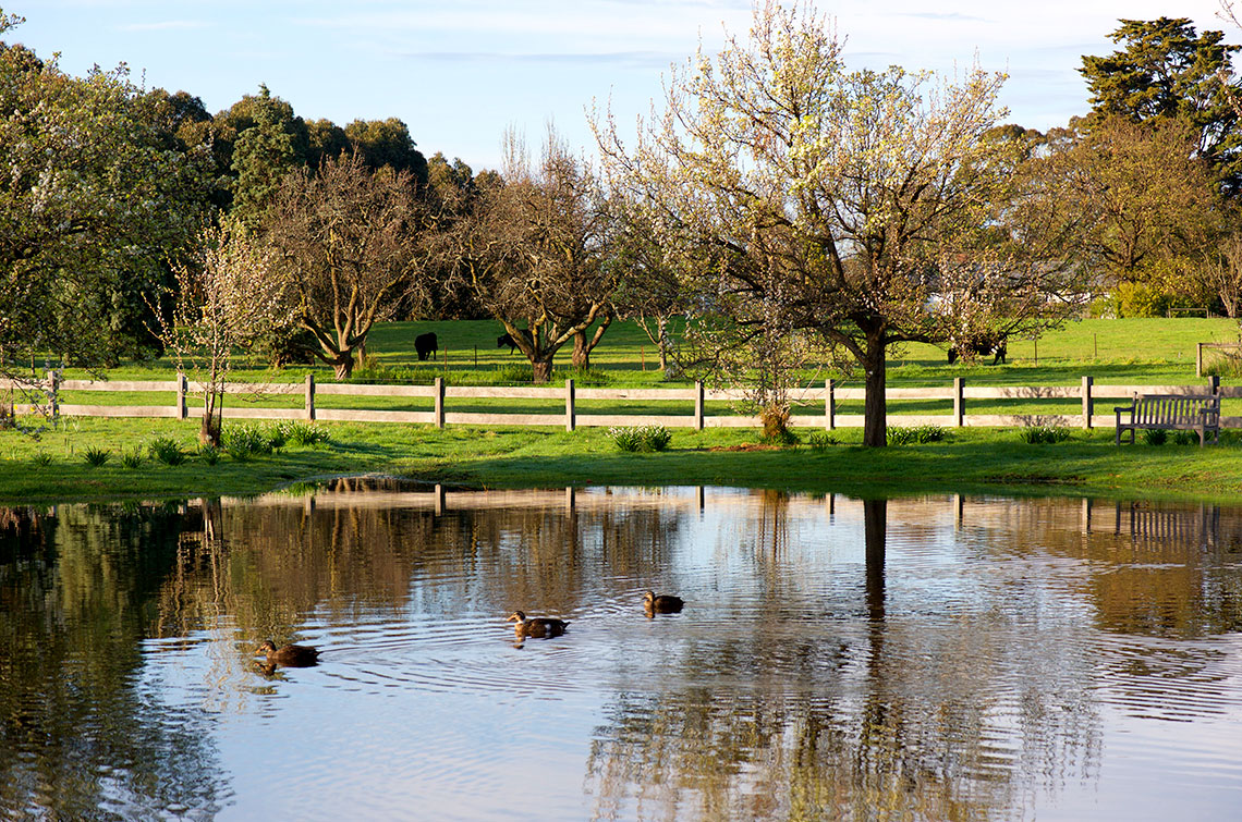 The Seasons | Cruden Farm